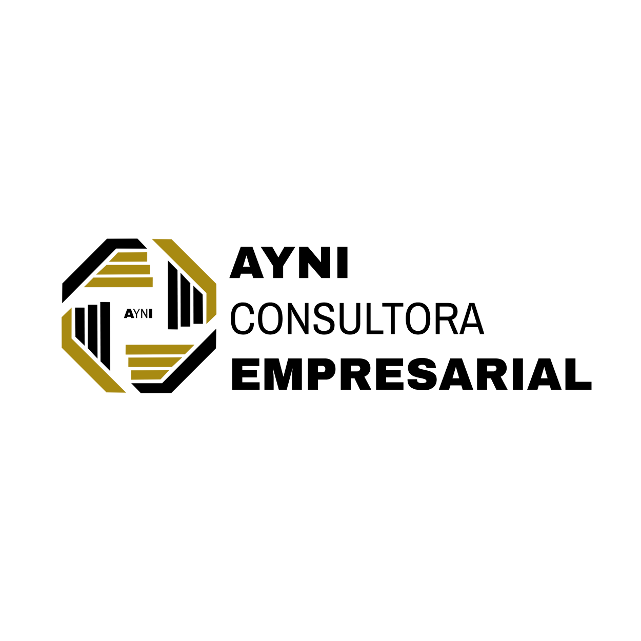 Inicio AYNI Consultora EMPRESARIAL